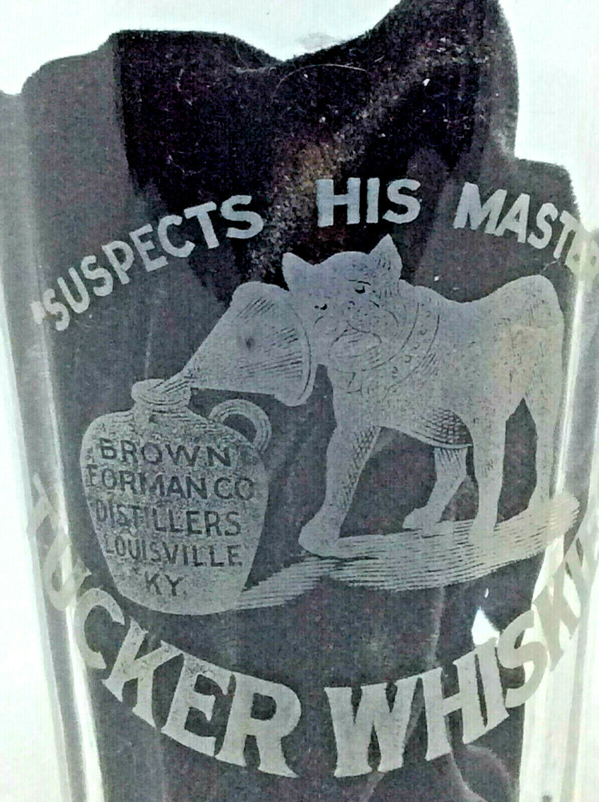 Weesl Watch – New and Shotworthy